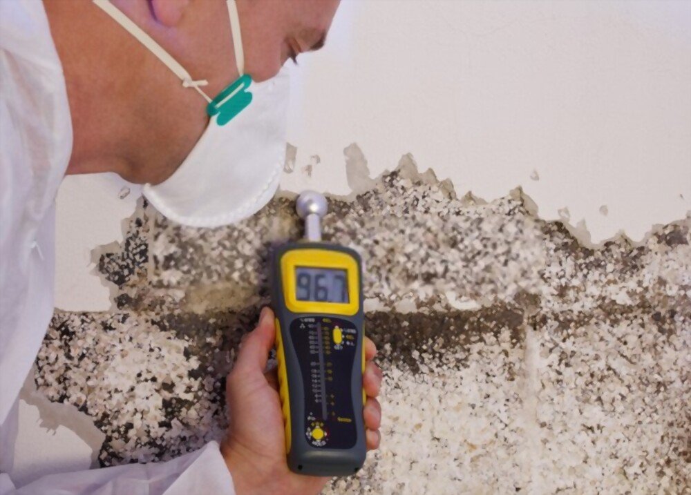Guide to Mold Tests: Everything You Need to Know - ACTIVE MY HOME