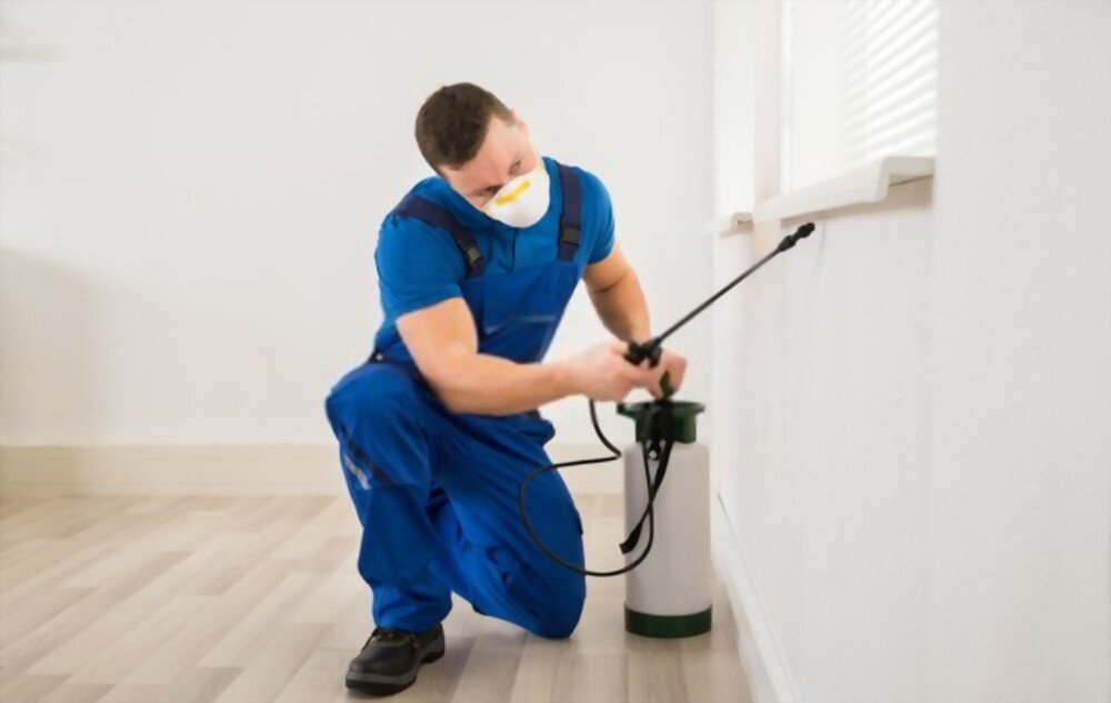 Health Impacts of Termites on Humans - ACTIVE MY HOME
