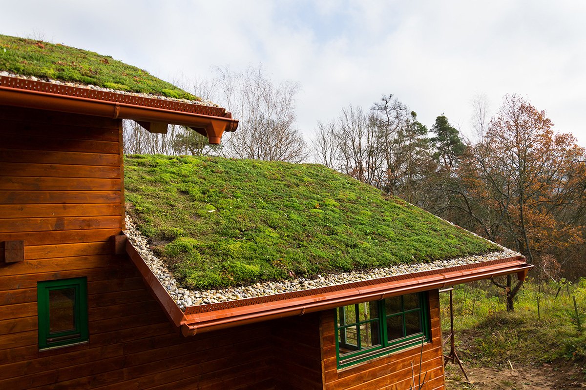 What is a living roof? - ACTIVE MY HOME