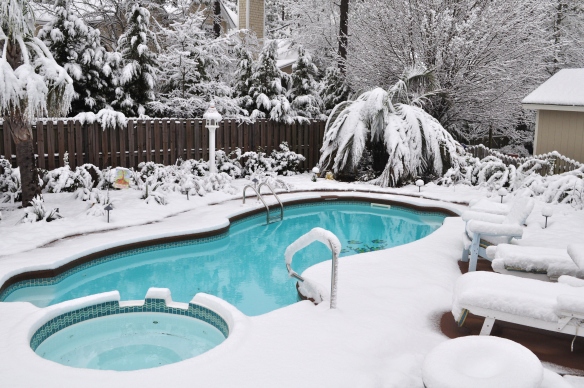 What is an All Season Pool? - ACTIVE MY HOME