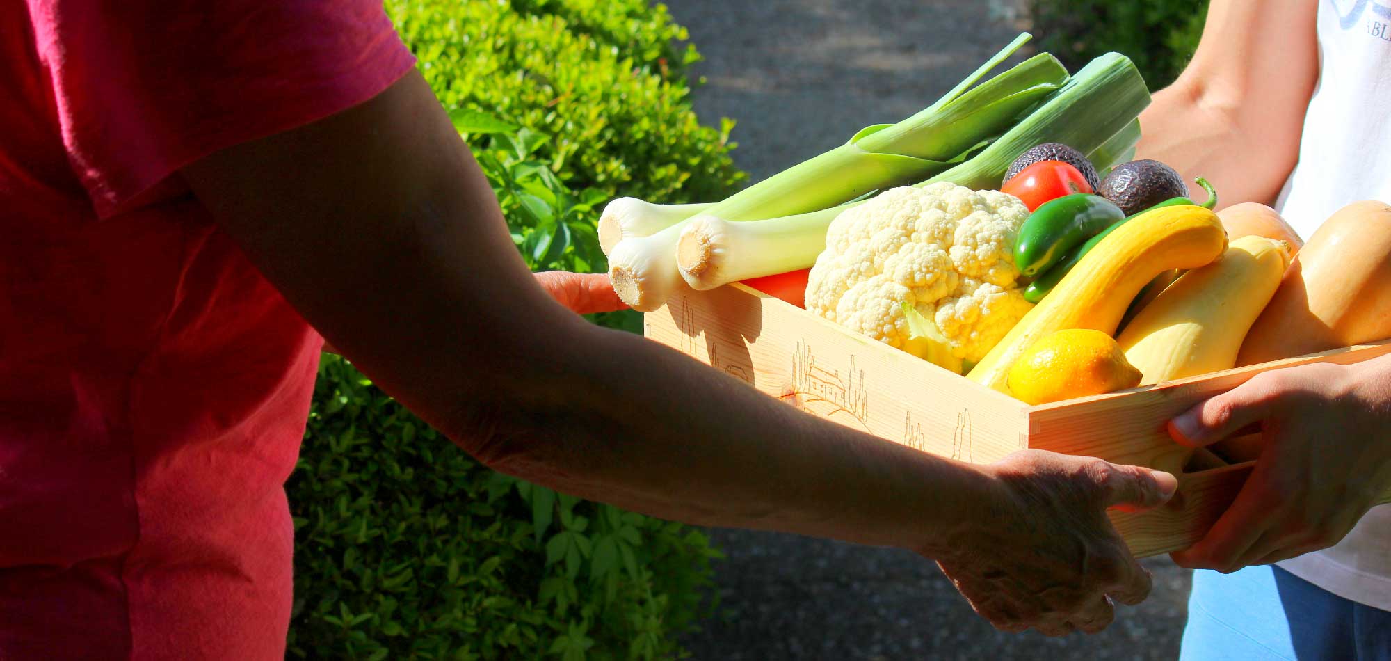 How Can Farm Produce Delivery Make Your Life Easier? - ACTIVE MY HOME